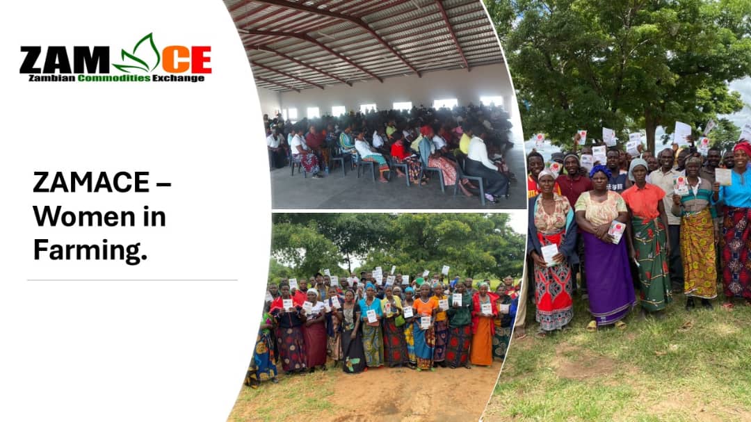 ZAMACE | Zambian Commodities Exchange