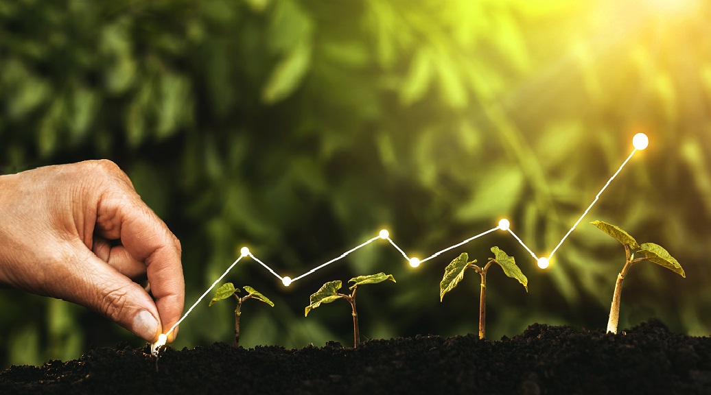 ZAMACE | Zambian Commodities Exchange