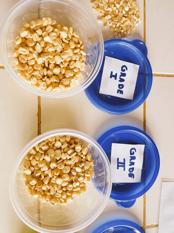 ZAMACE | Zambian Commodities Exchange