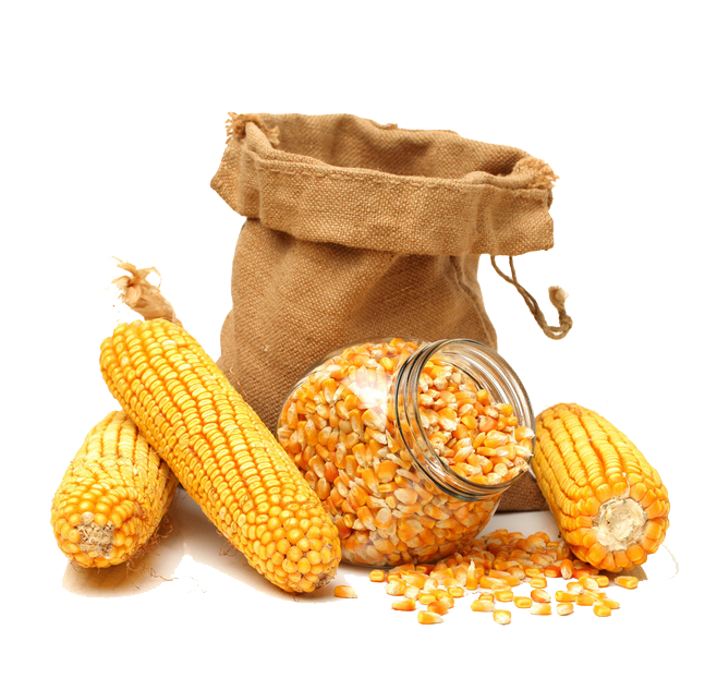 ZAMACE | Zambian Commodities Exchange