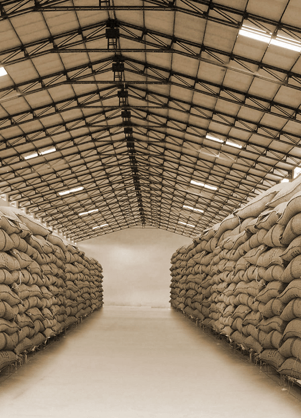 ZAMACE | Zambian Commodities Exchange